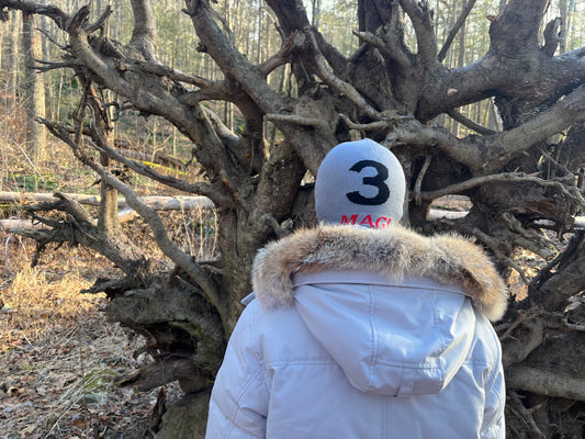 Products – Instrumentality Project